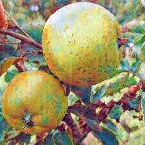 Pommier de Garde REINETTE ANANAS – PEPINIERE PIERRE ET LILI