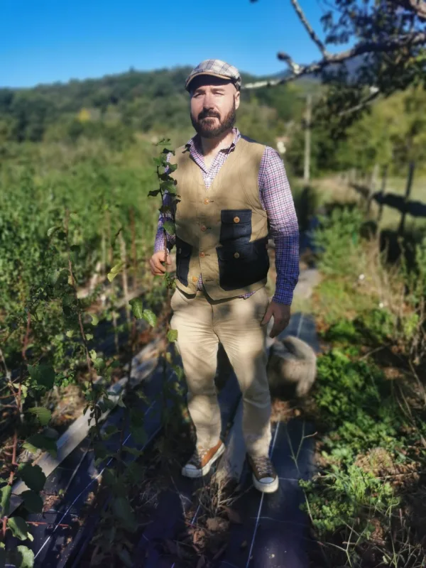 Prunier Madame Bonnard – PEPINIERE PIERRE ET LILI